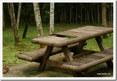 Life Thru The Lens: Some Pictures from Putrajaya Wetlands